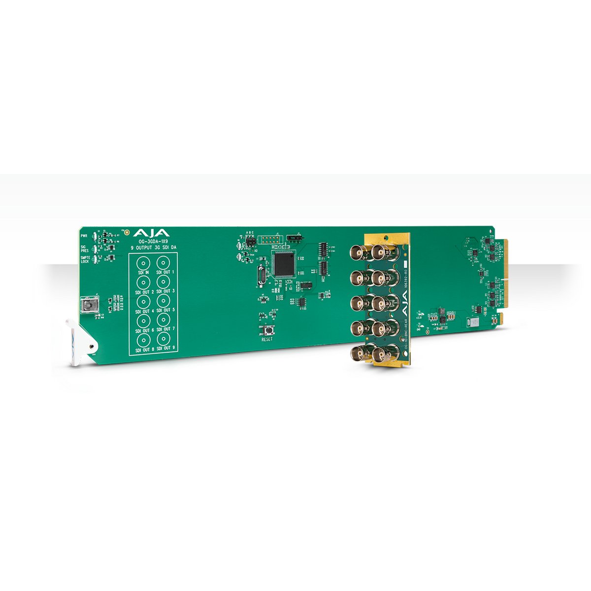 AJA OG-1x9-SDI-DA 3G-SDI Distribution Amplifier Card – Videocraft